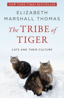 14 of the Best Cat Books for Cat Lovers