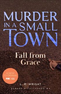 'Murder in a Small Town': The Karl Alberg Series by L.R. White